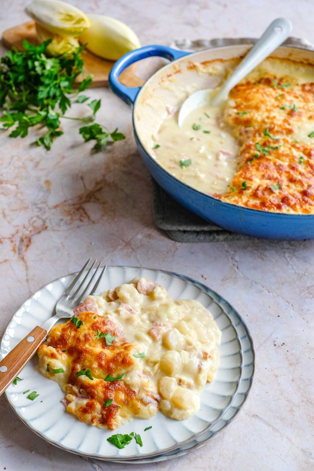 Witloof ovenschotel met kaas en hesp – Kokerellen